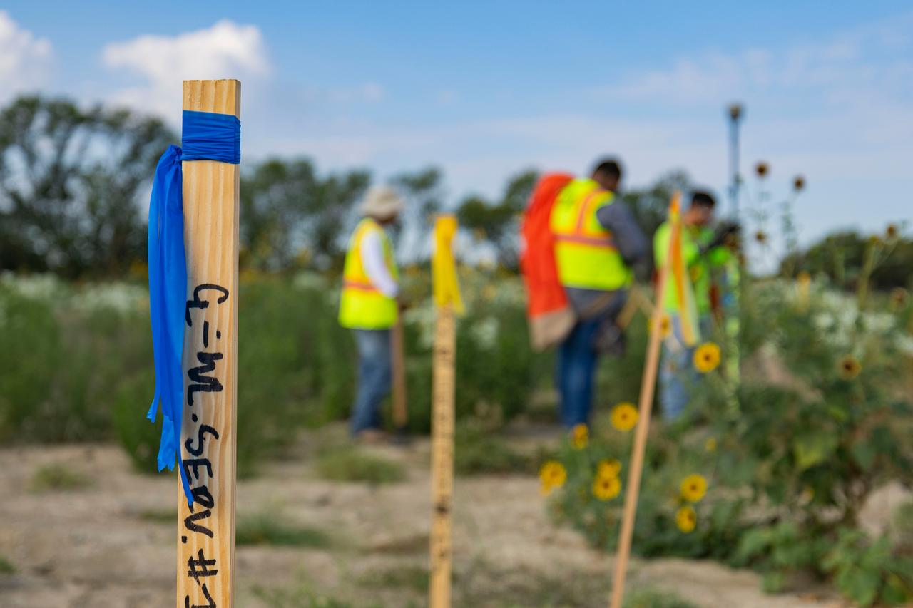 Understanding Boundary Surveys: Why Accurate Property Lines Matter ...